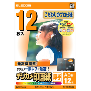 デジカメ写真用紙（印画紙）厚手 - EJK-DPNLAZZ